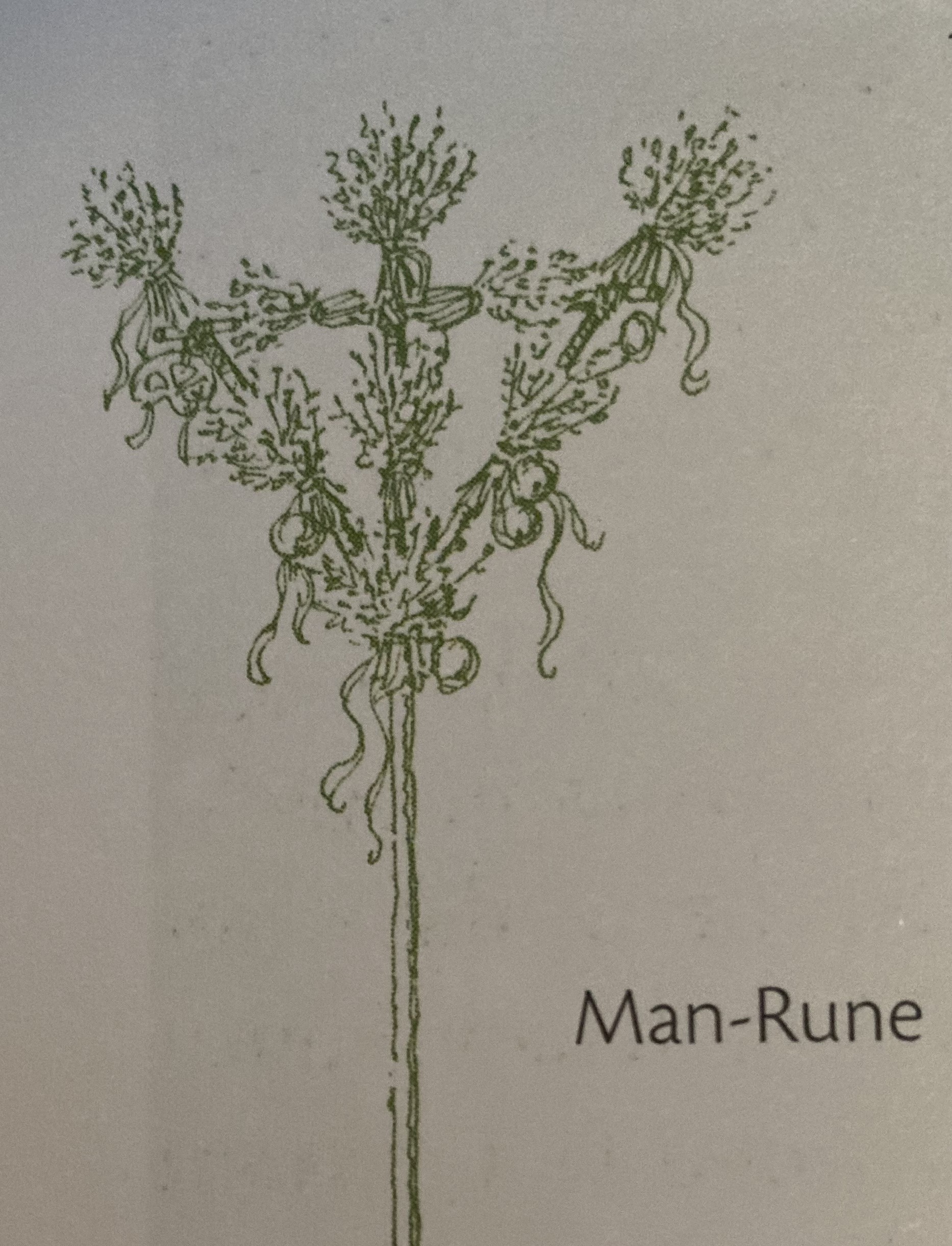 Mitsommer- Freude und Rauschende Feste – Kraftort